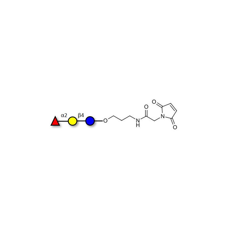 Maltononaose DP9 with cyclic di-thiol (Linker-LIPO A)