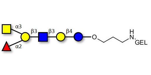 Blood group H antigen disaccharide grafted on gel for affinity ...