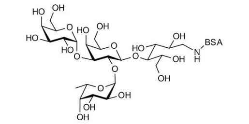 Blood group B antigen tetraose type 5 grafted on BSA