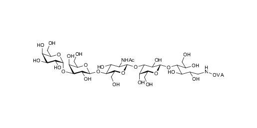 Galili antigen pentaose grafted on OVA