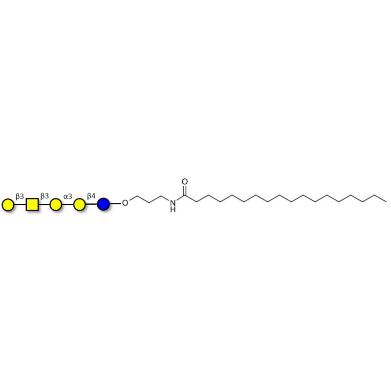Galili antigen heptaose grafted on gel for affinity chromatography ...