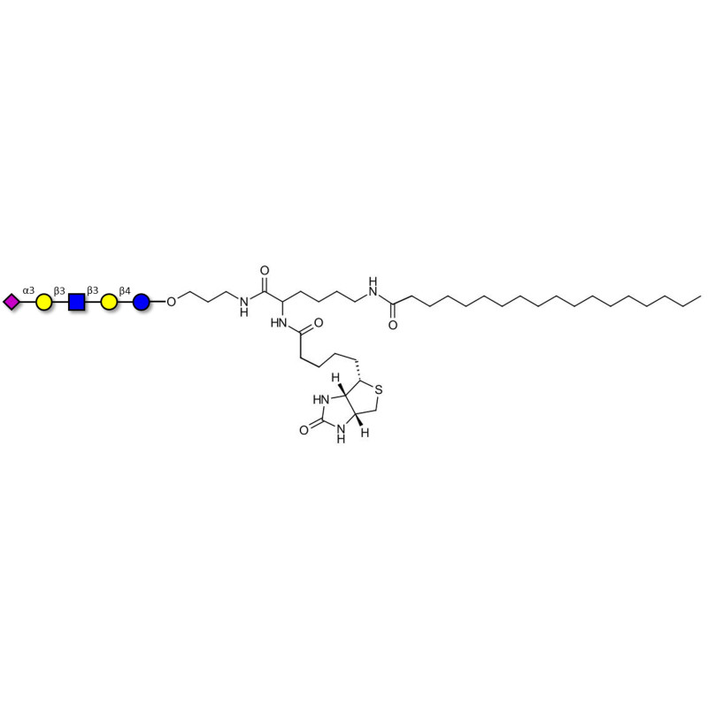 LS-Tetrasaccharide d (LSTd) with terminal alkyne (Linker-CΞCH B)