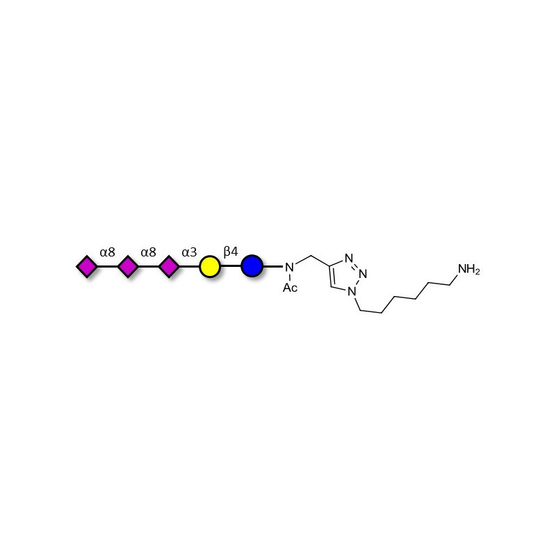GM1b Ganglioside oligosaccharide with free terminal amine (Linker-NH2 B)
