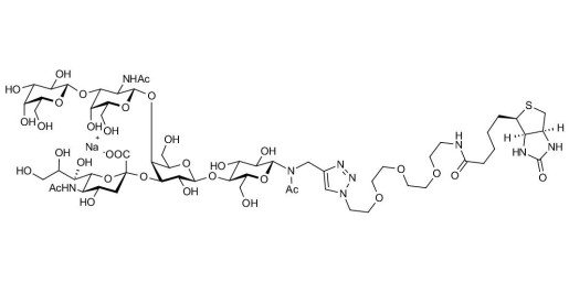Fucosyl GM1 Ganglioside oligosaccharide grafted on BSA