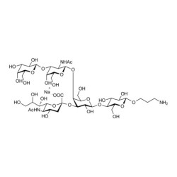 Fucosyl GM1 Ganglioside oligosaccharide grafted on OVA