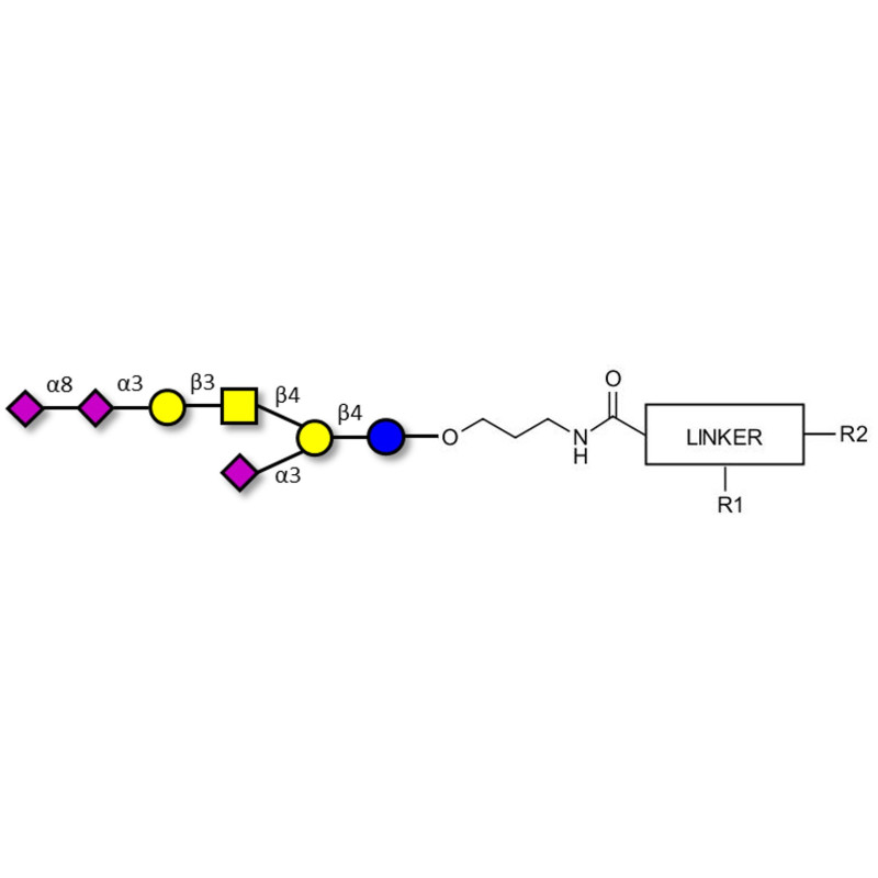 Globo-H hexaose / Stage Specific Embryonic Antigen 3b (SSEA-3b) grafted ...