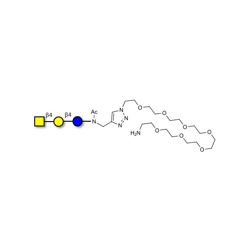 A antigens with cyclic di-thiol