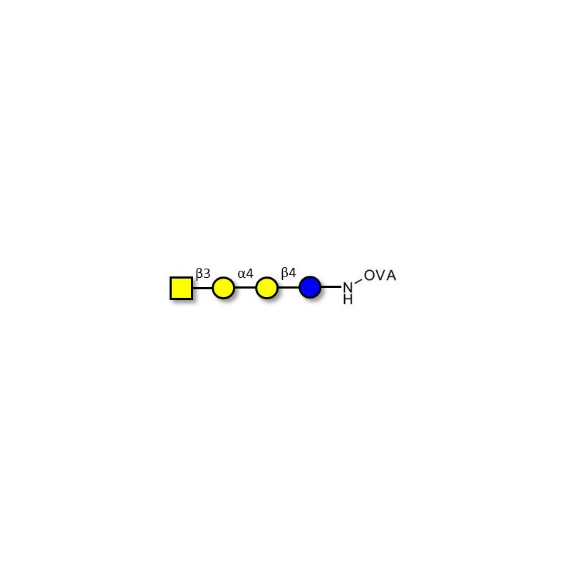 Forssman antigen pentaose with terminal alkyne (Linker-CΞCH A)