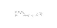 Globo-H hexaose / Stage Specific Embryonic Antigen 3b (SSEA-3b) linked ...