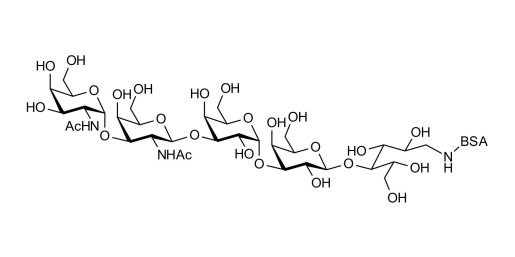 Isoforssman antigen pentaose grafted on BSA