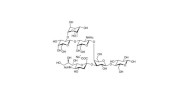 Fucosyl GM1 Ganglioside oligosaccharide grafted on polyacrylamide (PAA ...