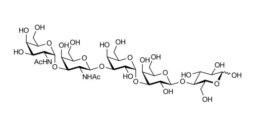 Gb4 Globoside terminal with free terminal amine (Linker-NH2 B)