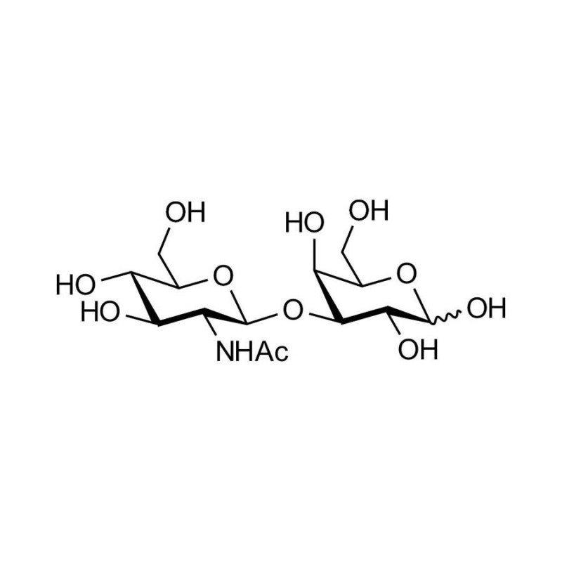 Gb4 Globoside terminal with terminal alkyne (Linker-CΞCH B)