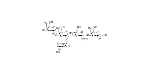 Globo-H analogue type 2 with free terminal amine (Linker-NH2 B)