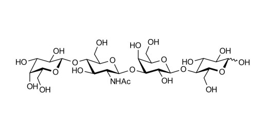 Lacto-N-neotetraose (LNnT / neo-LNT) grafted on polyacrylamide (PAA ...