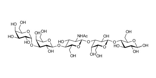 Galili antigen pentaose grafted on polyacrylamide (PAA) with biotin and ...