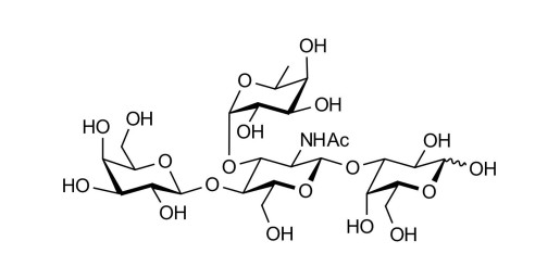 Lewis x (Lex) tetraose grafted on polyacrylamide (PAA) with fluorescein ...