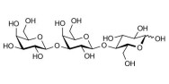 3'-Galactosyllactose (3'GL) grafted on polyacrylamide (PAA) with fluorescein