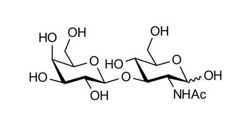 Lacto-N-Biose (>90% HPLC)