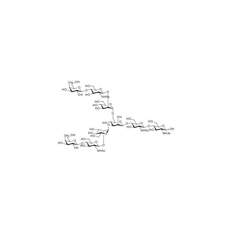 Asialo complex-type N-glycan (>90% HPLC)