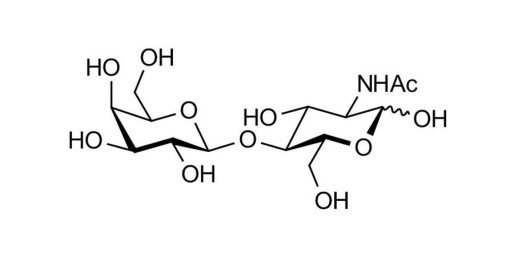 N-Acetyl-D-Lactosamine (LacNAc) (>80% NMR)